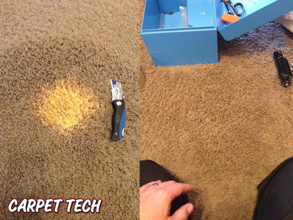 Residential Carpet Repair Service | Carpet Stretching