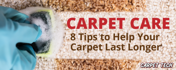 Carpet Care: 8 Tips To Help Your Carpet Last Longer - Carpet Tech