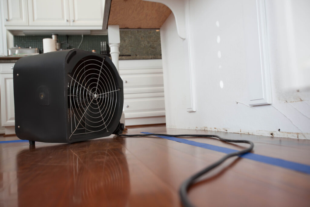 How to Make a Successful Water Damage Insurance Claim with Carpet Tech